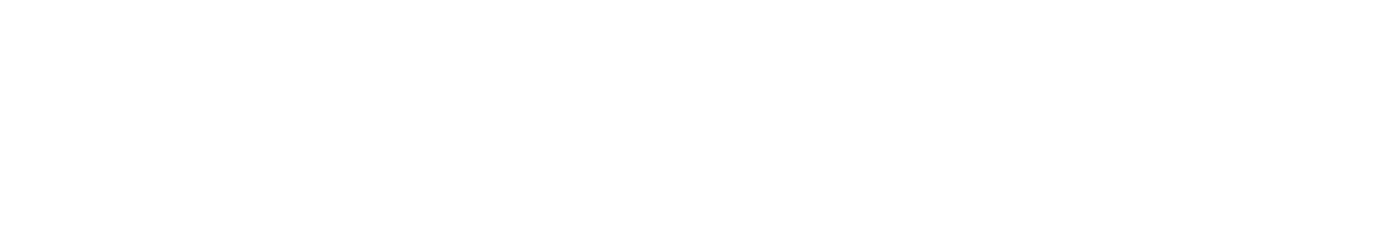 Close Protection Roles and Responsibilities - Rock Security Solutions